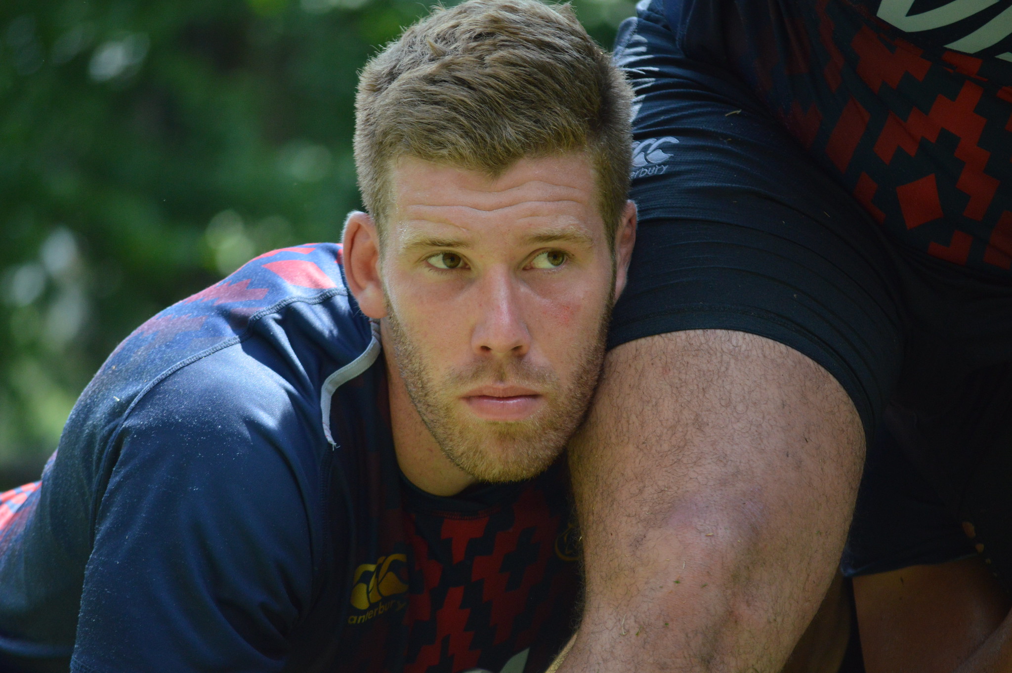 Súper Rugby Américas: ¿cuándo debutan los Pampas de Fernández Criado y ...